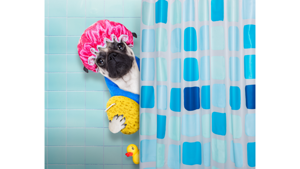 What Is The Best Way To Clean A Dog Bed Best Pets Beds What Is The Best Way To Clean A Dog Bed Best Pets Beds